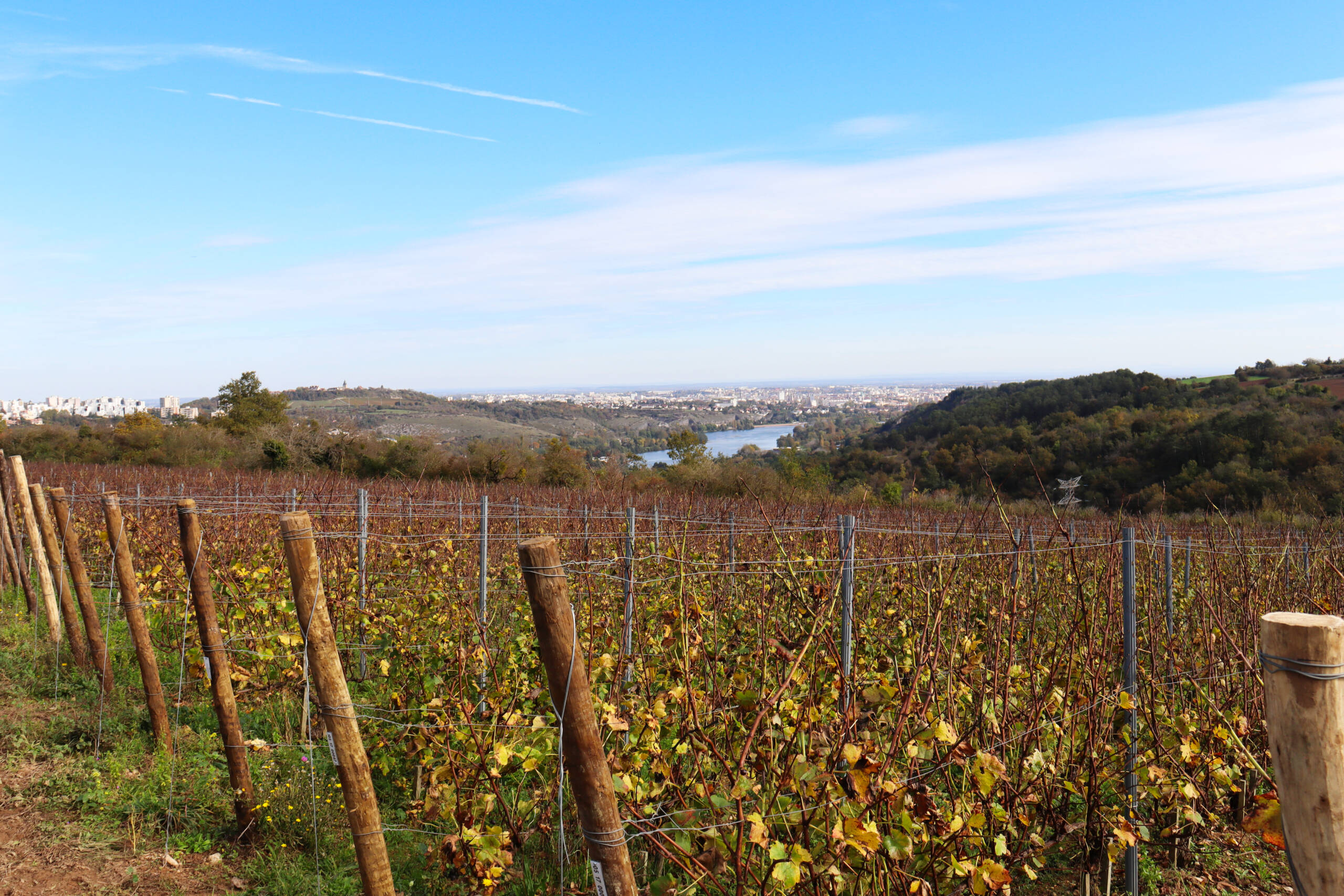 Présentation – ATVB